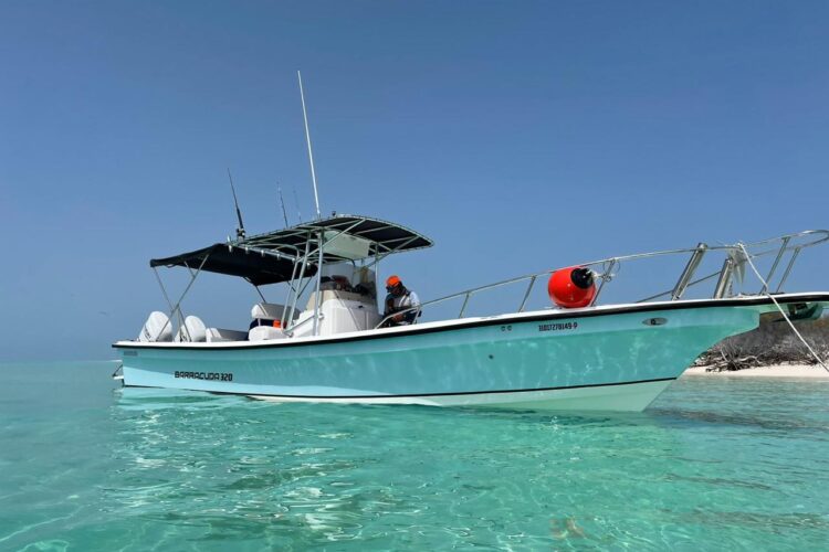 Lanchas usadas en venta – Mexico Marino