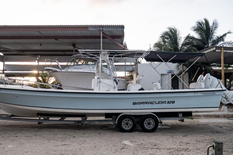 Mexico Marino – Lanchas en venta