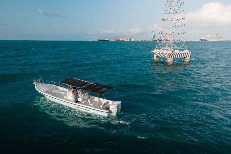 Lanchas usadas en venta – Mexico Marino