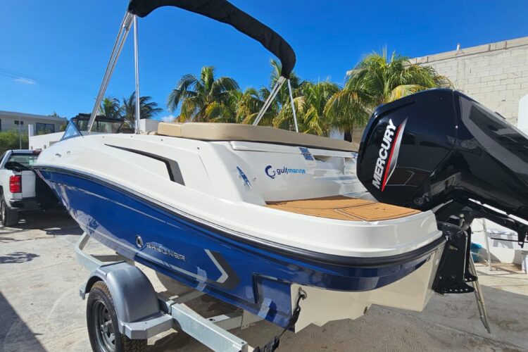 Lanchas usadas en venta – Mexico Marino