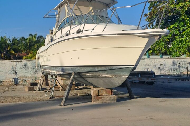 Lanchas usadas en venta – Mexico Marino